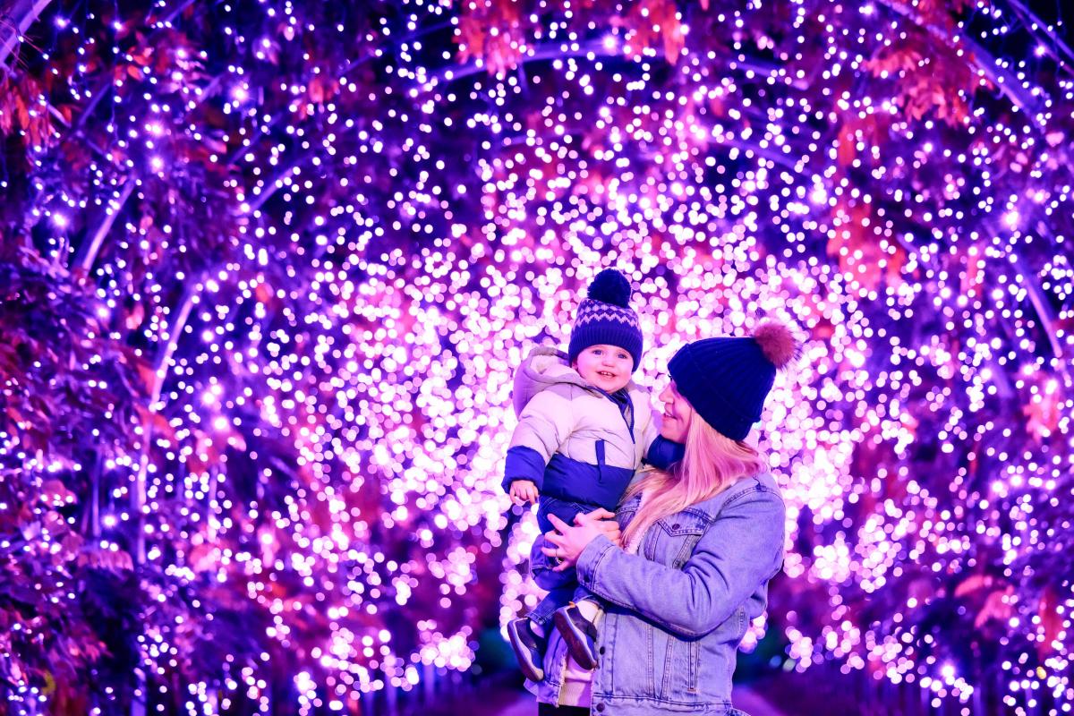 Over 25 Magical Christmas Days Out in Devon for Festive Fun!