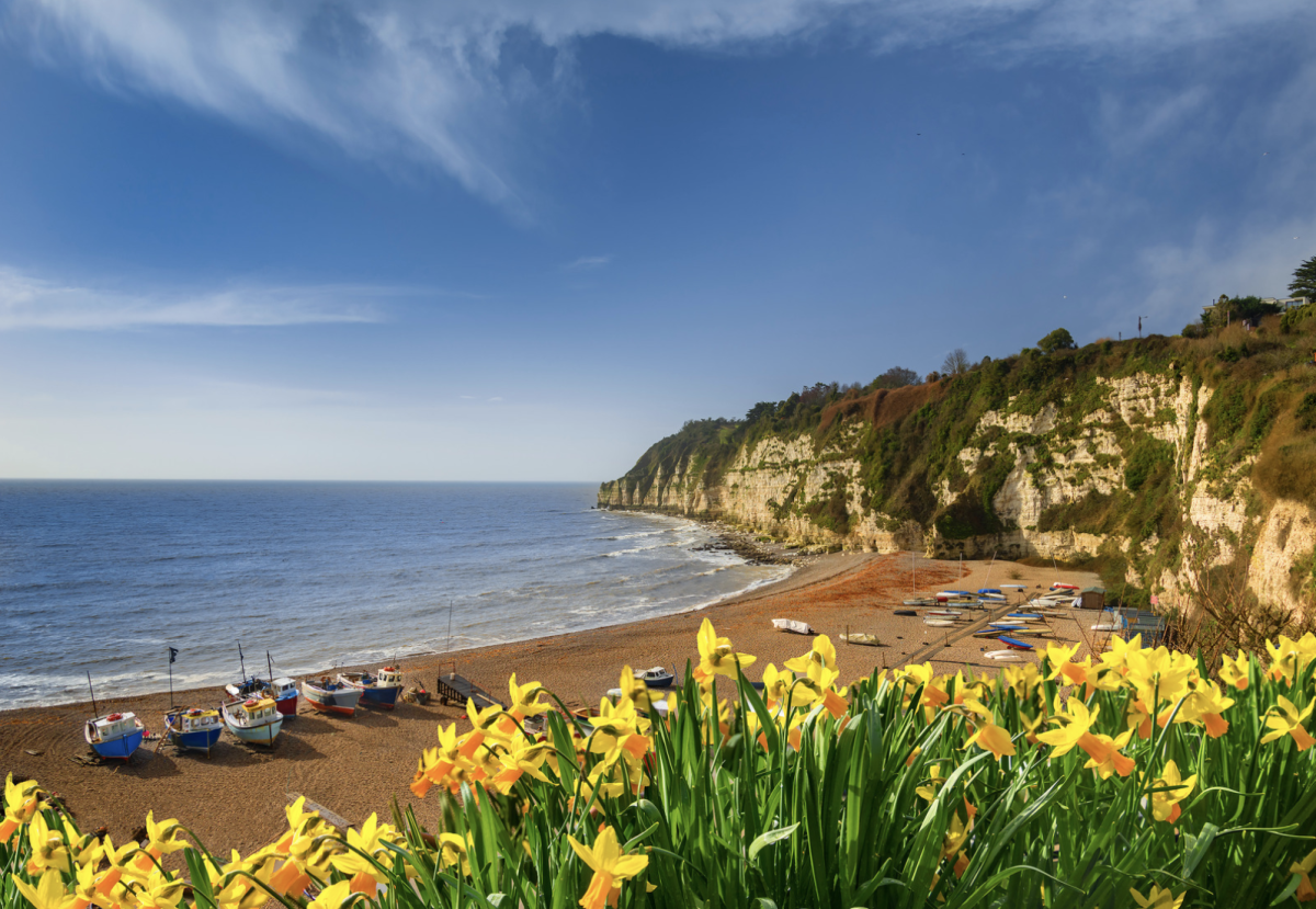 Visit Beer, Devon | Coastal Charm on the Jurassic Coast