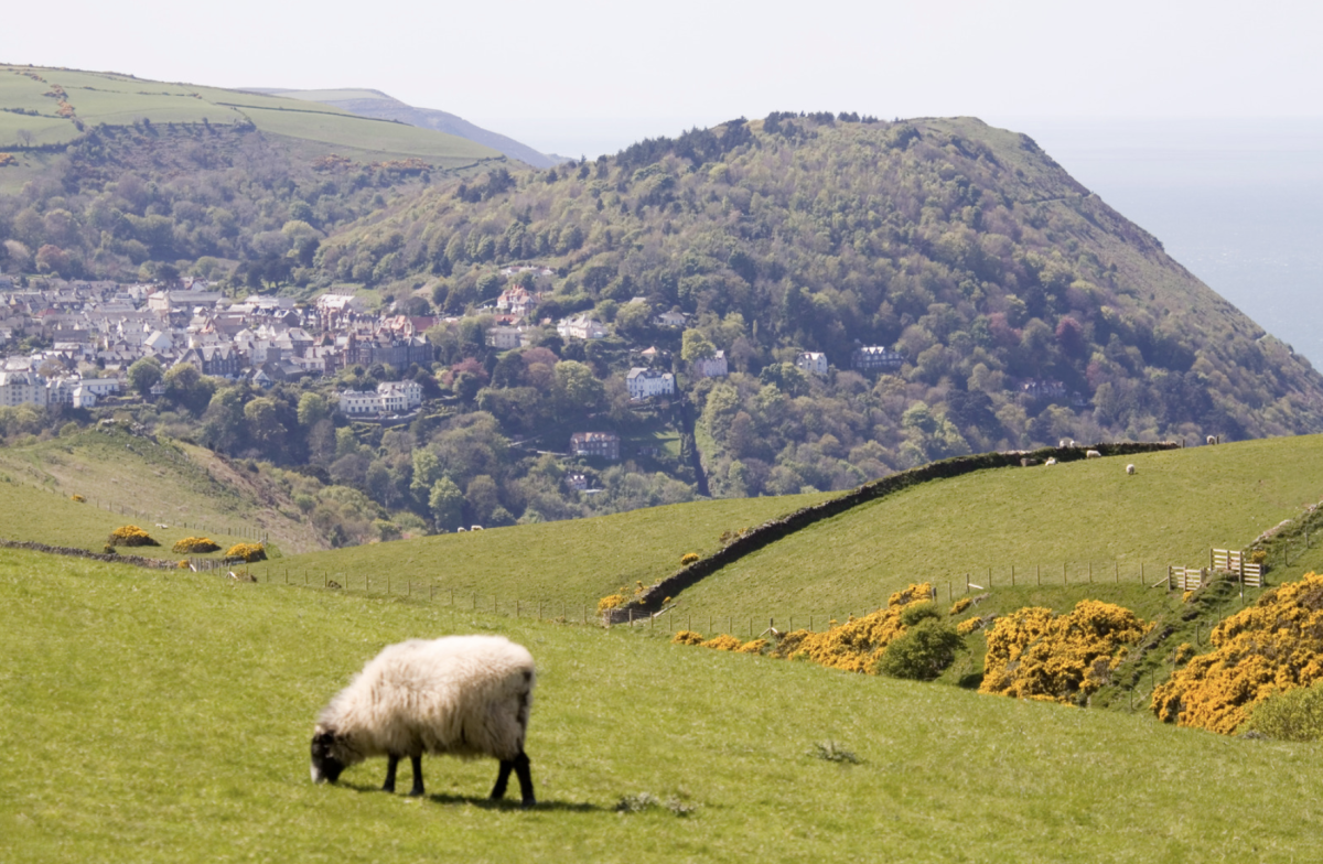 North Devon Nature Trails | Walks & Wildlife Adventures