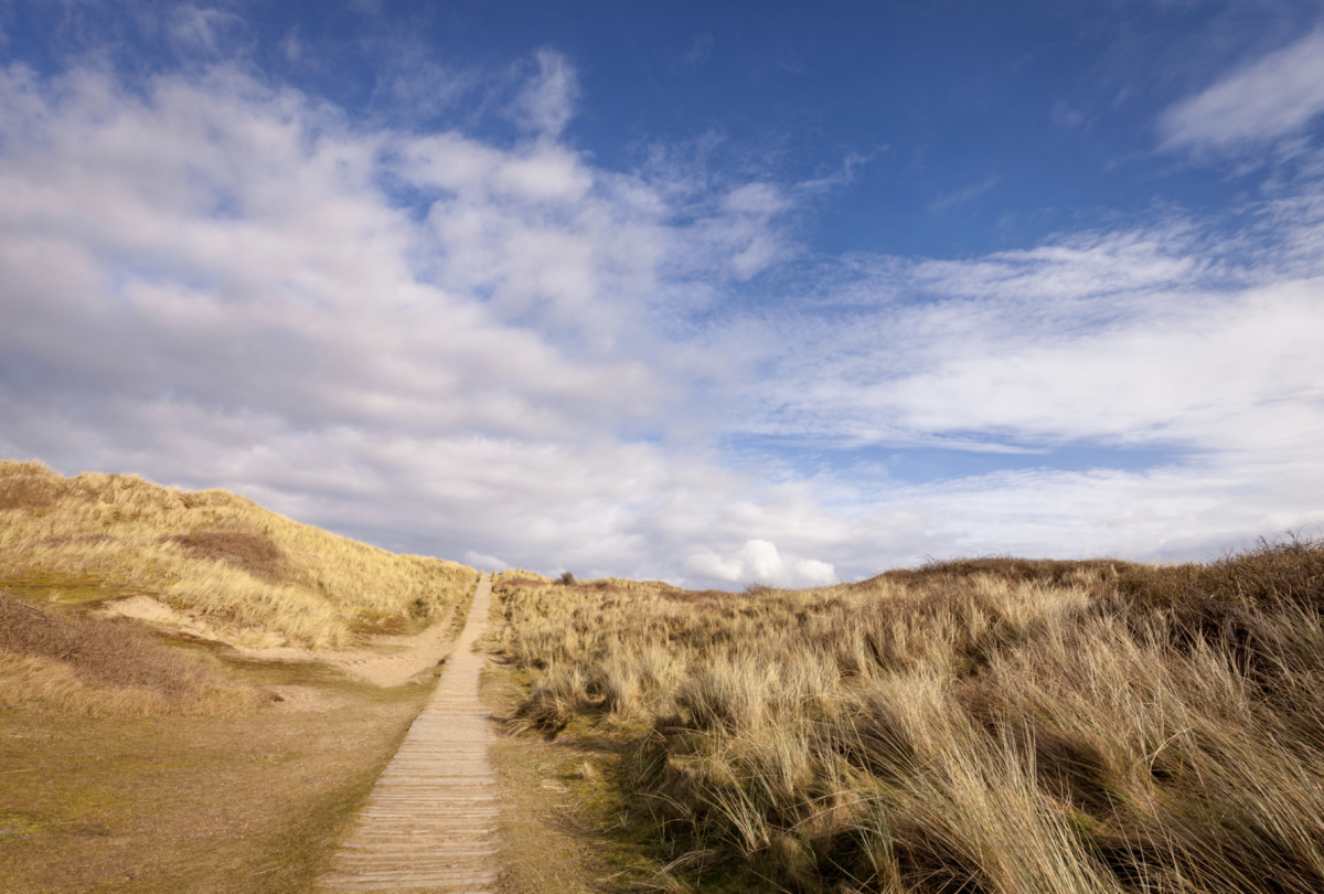 North Devon’s National Landscape | Coast & Countryside