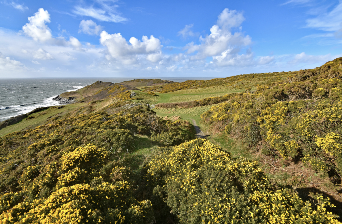 North Devon’s National Landscape | Coast & Countryside