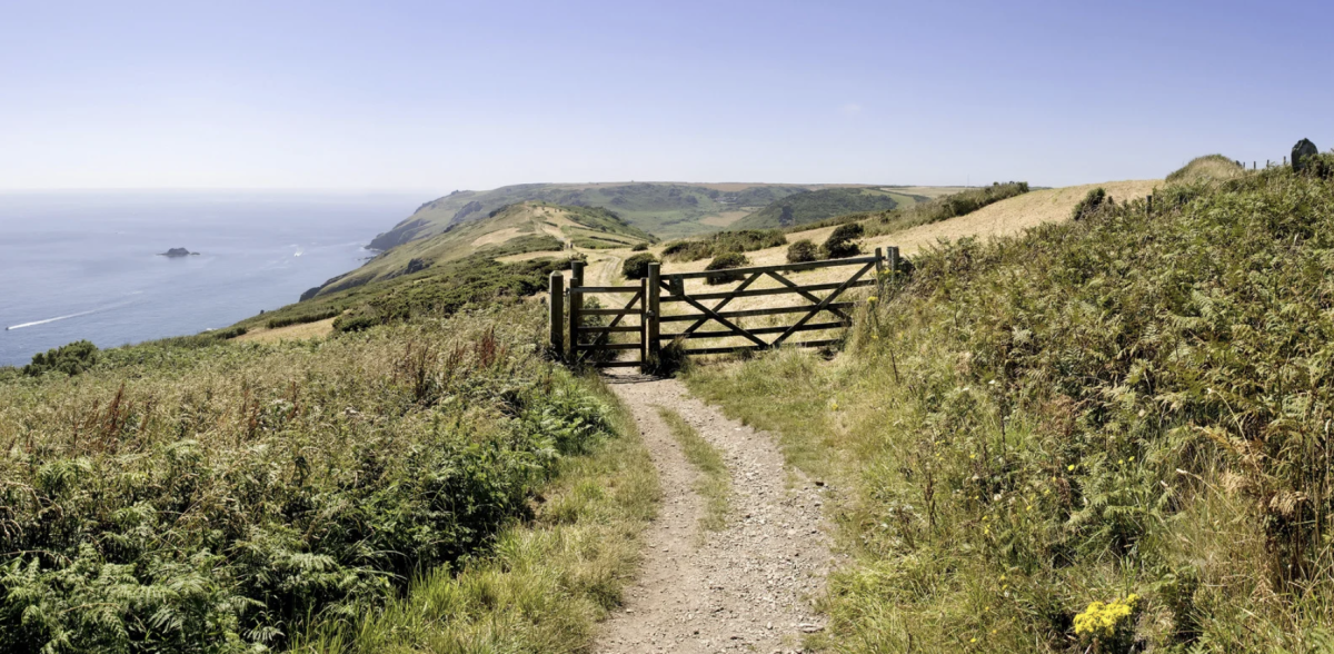 Discover the best walking routes in East Devon
