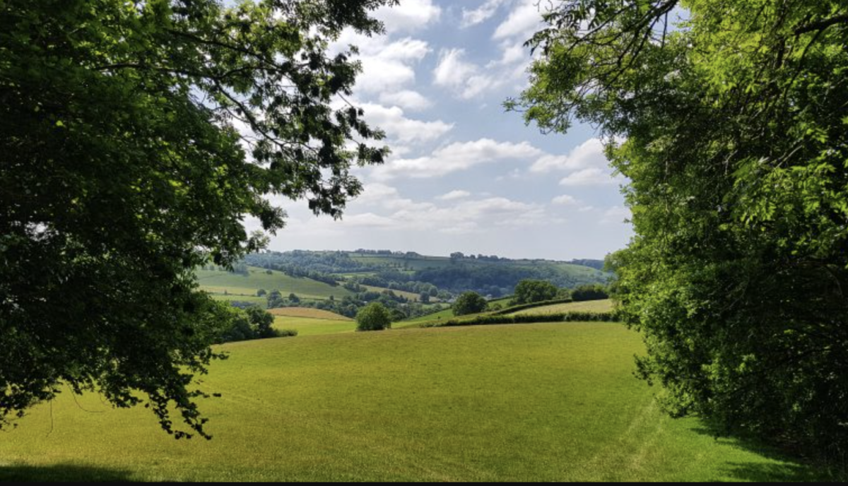 Coldharbour Farm Circular - Mid Devon