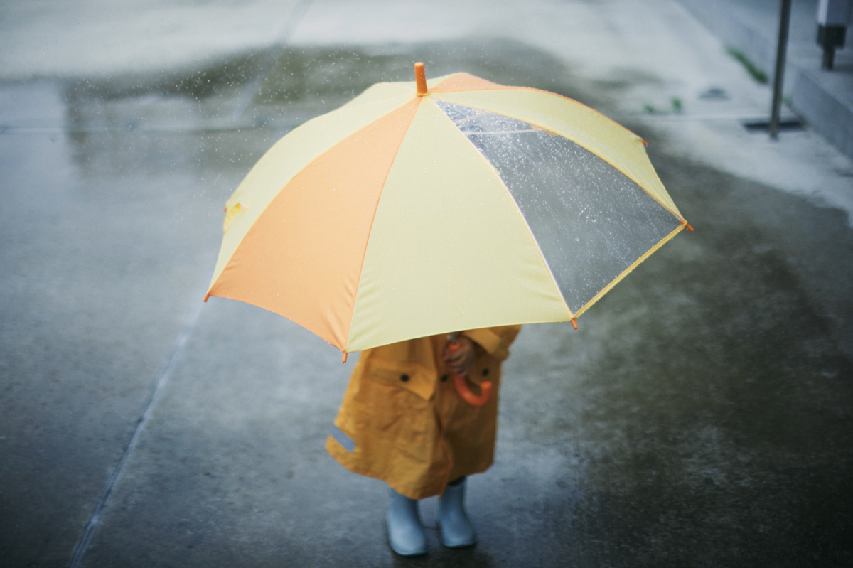 Umbrellas Up, Spirits High: Devon’s Rainy Day Adventures
