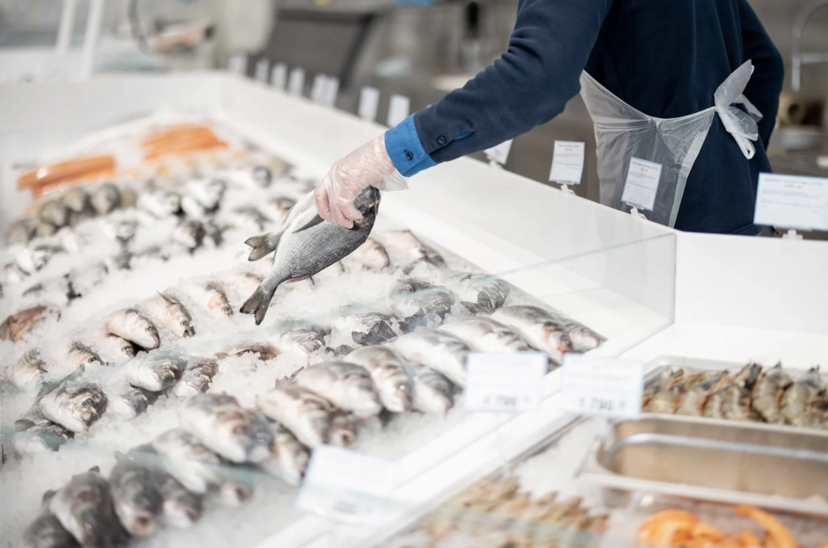 Seafood in Devon: Where to Taste the Freshest Catch