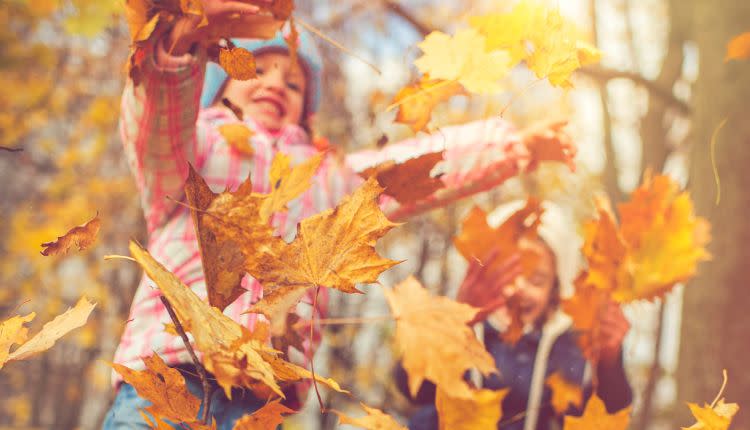 Things to do with the kids this autumn