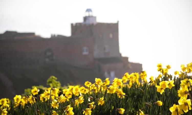 See the first glimpse of spring with these walks