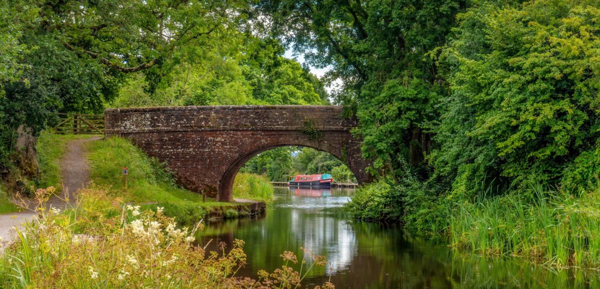 Things to do in Mid Devon this spring