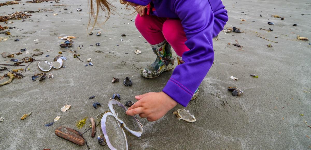 Best beaches for Beachcombing in North Devon