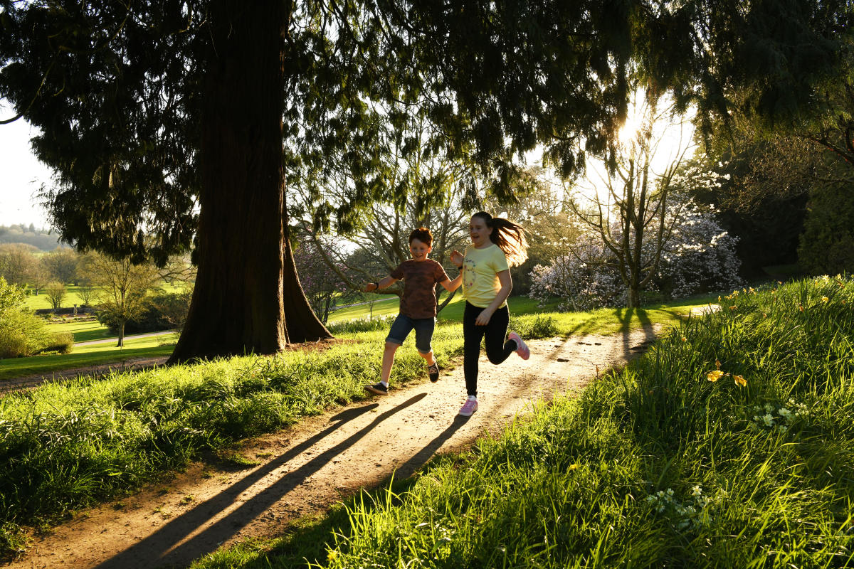 Step into spring with the National Trust in Devon: Events in April, May ...