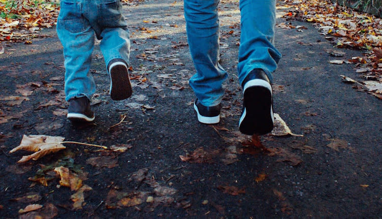 Looking for a bracing autumn stroll? Look no further!