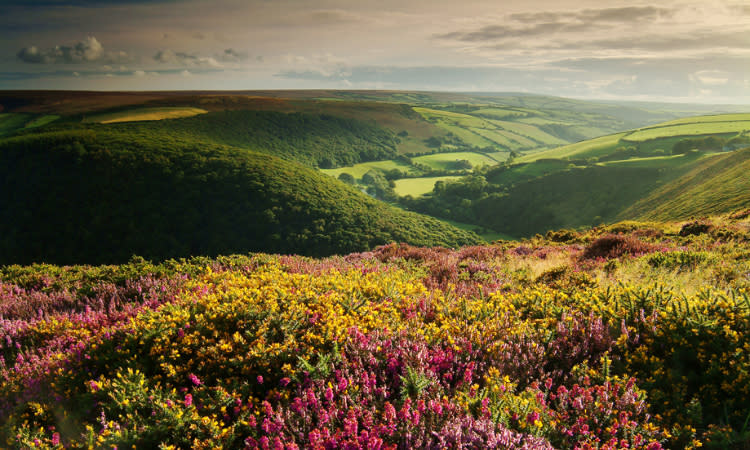 5 reasons to visit Exmoor this summer