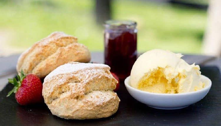 Where to enjoy a cream tea in Devon