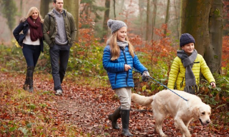 Great dog walking spots around East Devon