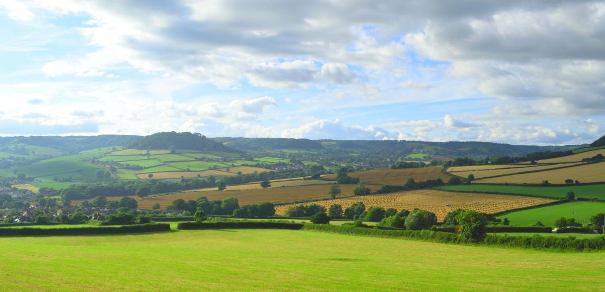 Visit the East Devon Way this Spring