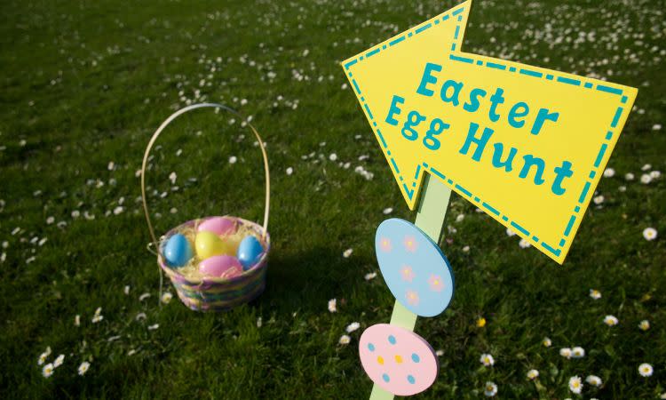 Egg-citing Easter events to look out for in Devon