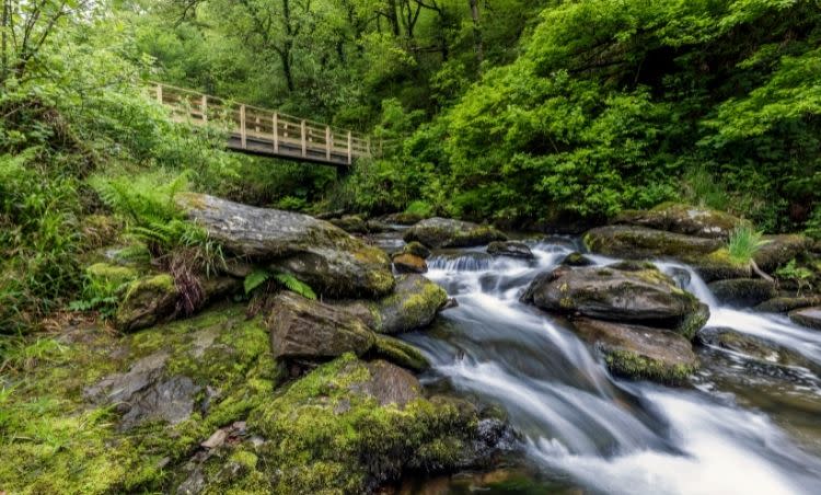 Things to do on Exmoor this spring