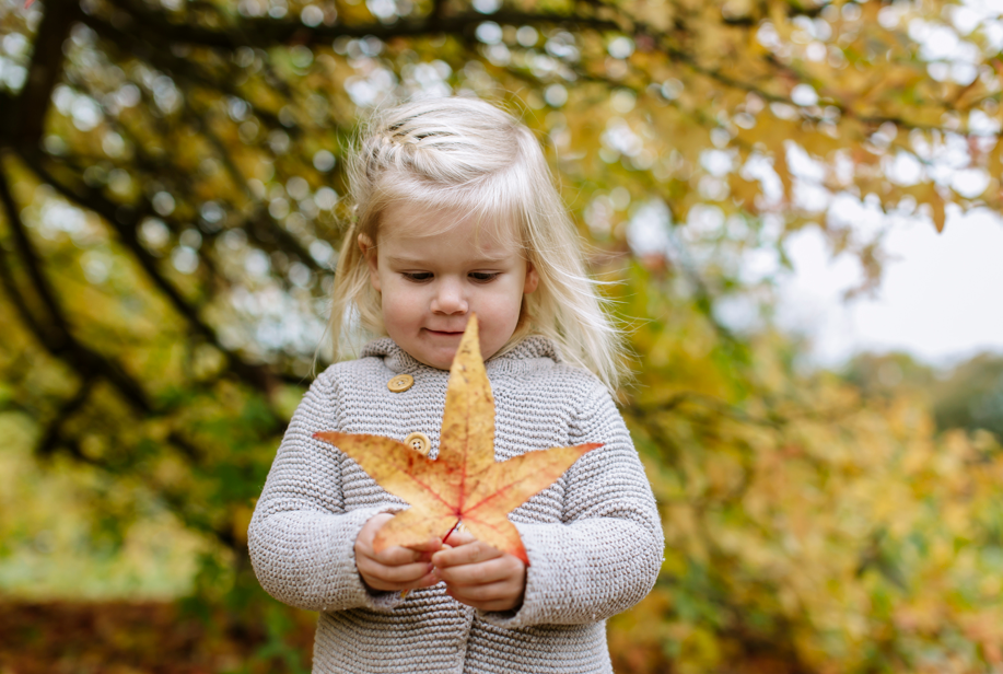 Have a wicked half term at RHS Garden Rosemoor