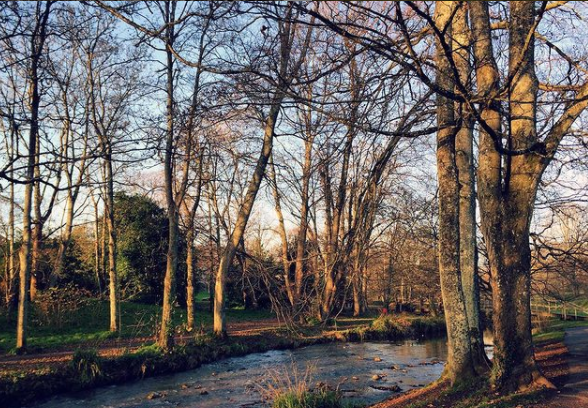 Where to see the autumn colours in East Devon