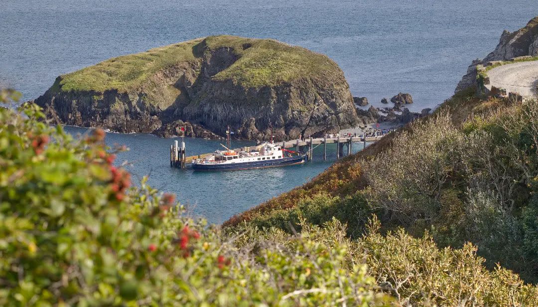 Explore Lundy Island | Wildlife & Coastal Escape