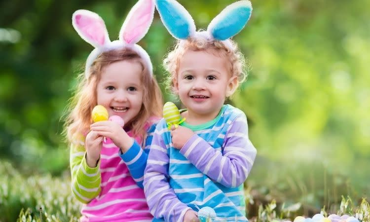 Things to do in North Devon this Easter