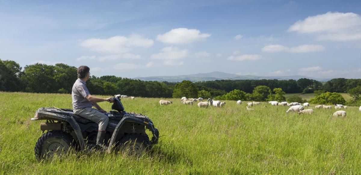 Outdoor Pursuits in Devon