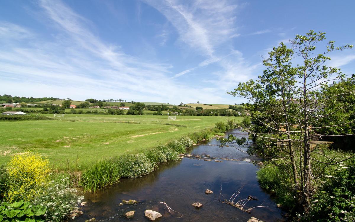 Colyton, East Devon | Historic Charm & Countryside Bliss