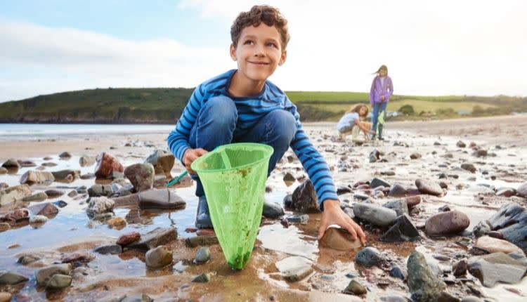Budget friendly things to do with the kids in Devon