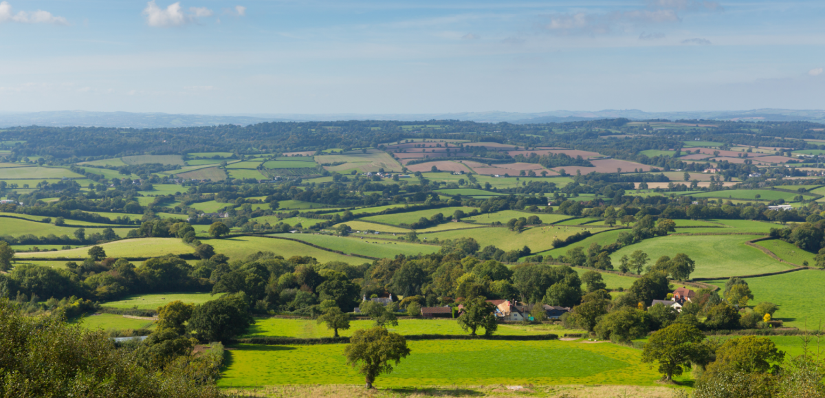 Romantic Things to do in Honiton this Valentine's Day
