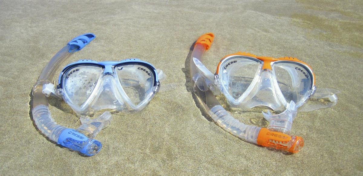 Scuba diving and snorkelling in Devon