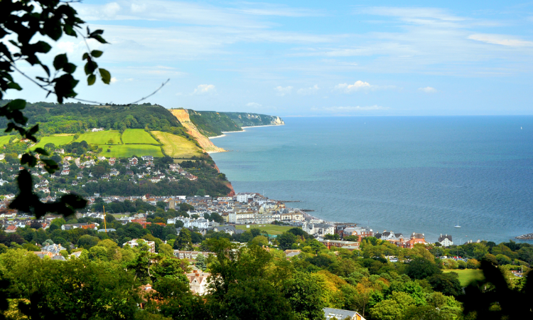 Three Walks to Help you Explore Seaton