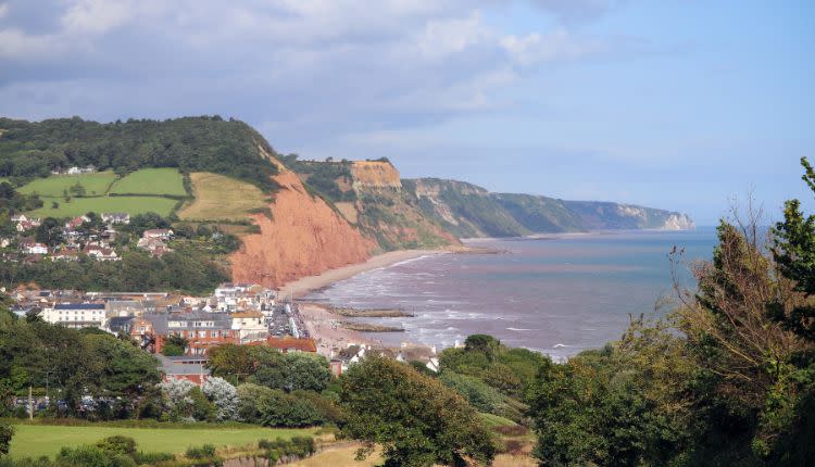 Sidmouth roaring back after Covid