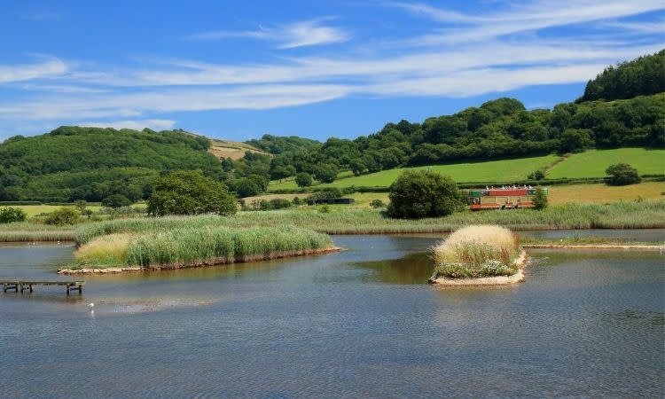 Great Nature Reserves in East Devon