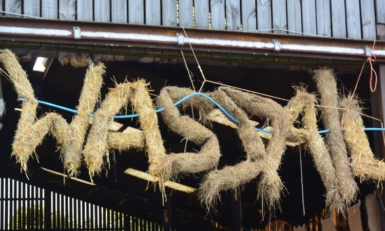 Just what is Wassailing? Devon's yearly cider tradition