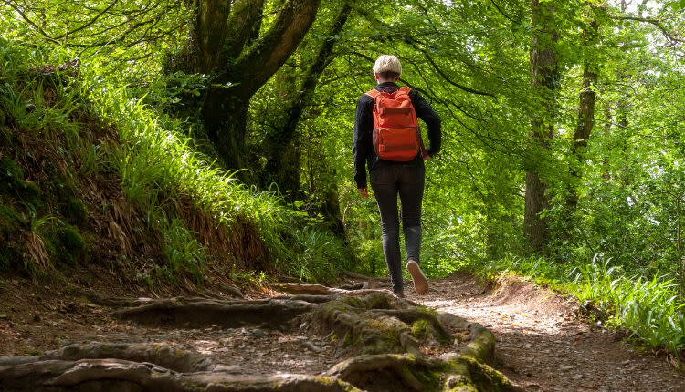 10 great winter walks
