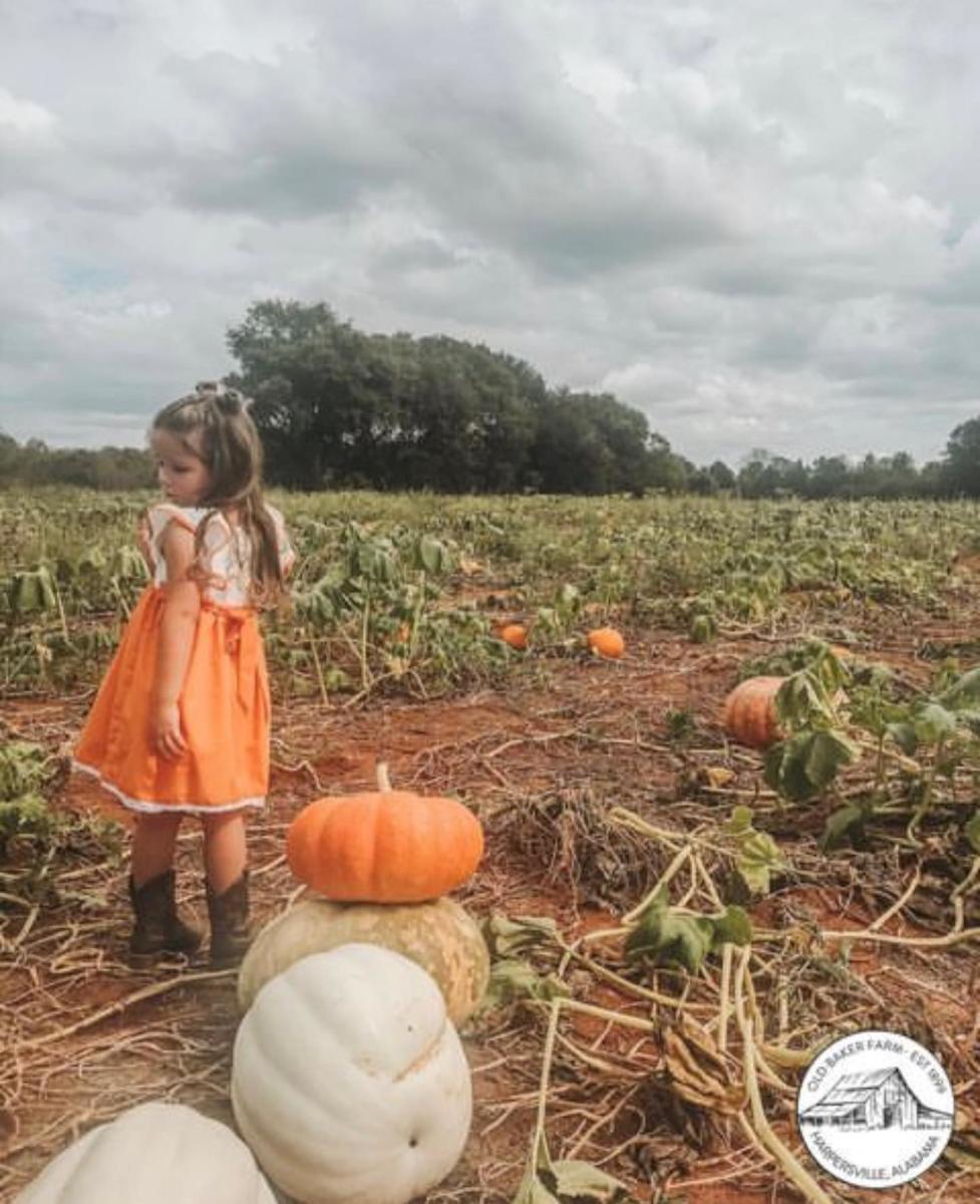 Fall Festivals And Events