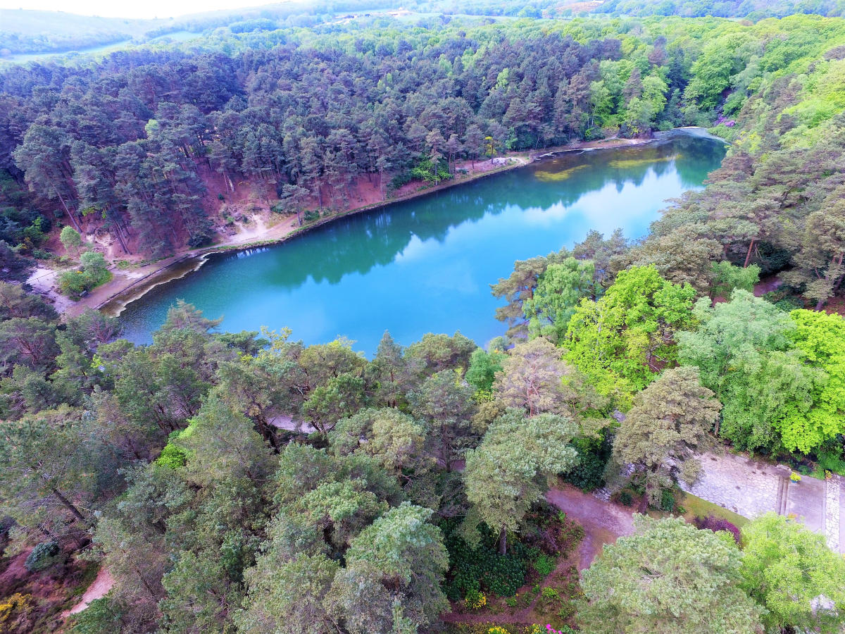 Things to Do at The Blue Pool Nature Reserve & Tearooms This Summer