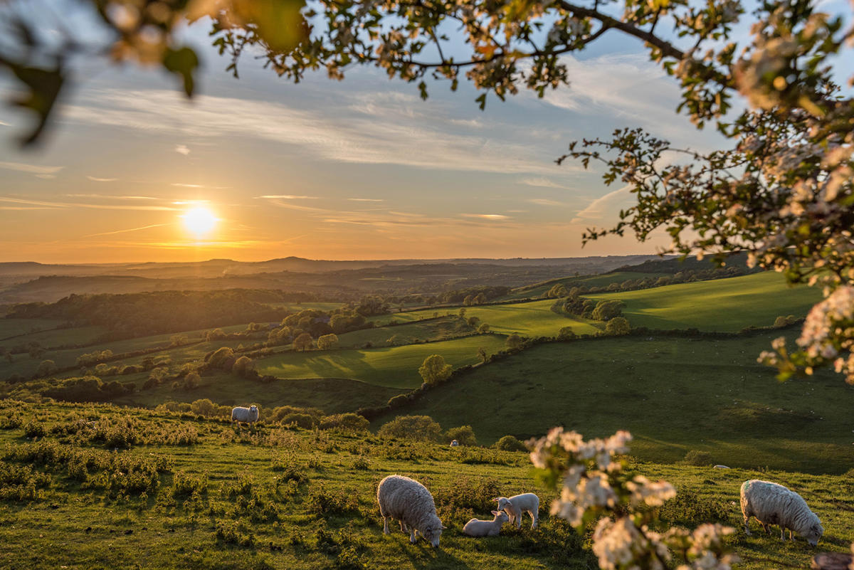 The Dorset Countryside | Visit Dorset