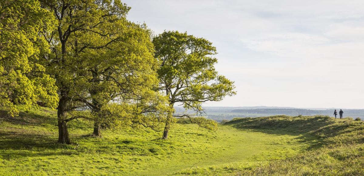 Active & Outdoor - Visit Dorset