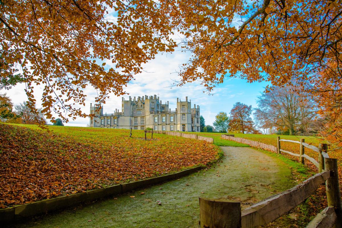 Five of the Best Autumn Walks in Dorset - Visit Dorset