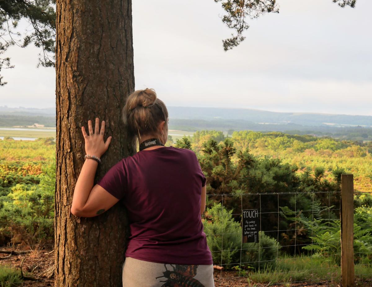Things to see and do at RSPB Arne this summer