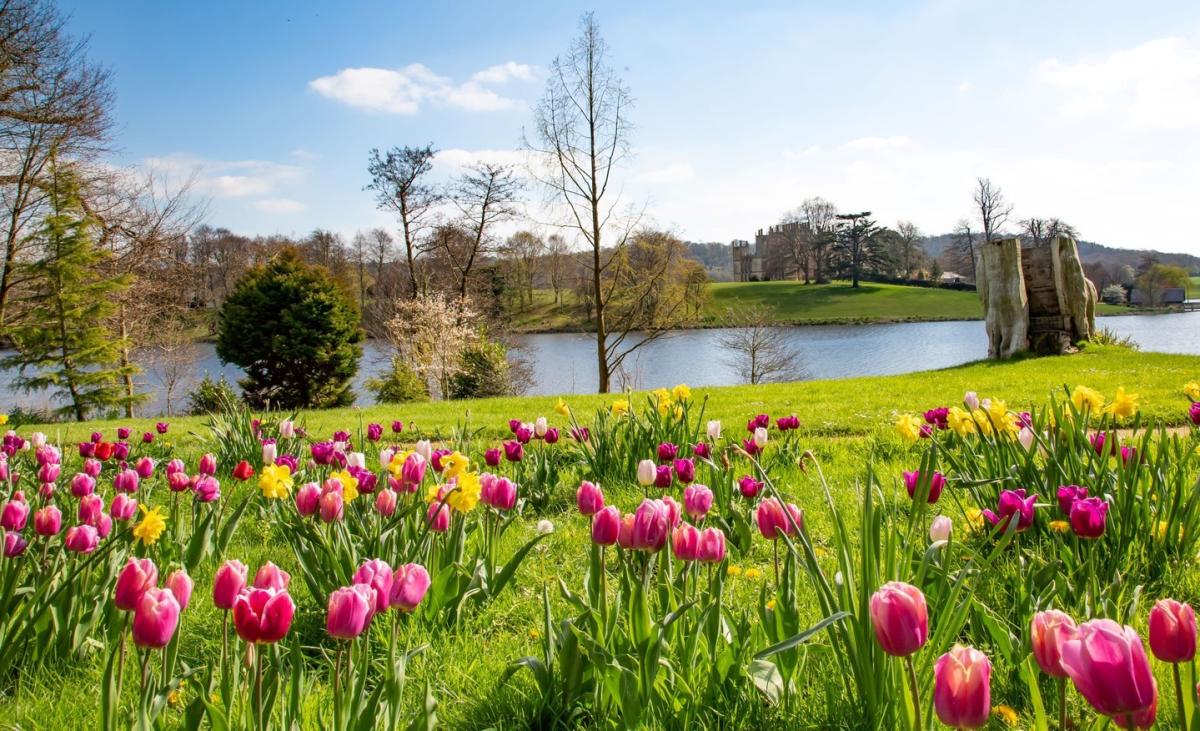 Spring Colours in Dorset's Gardens | Visit Dorset