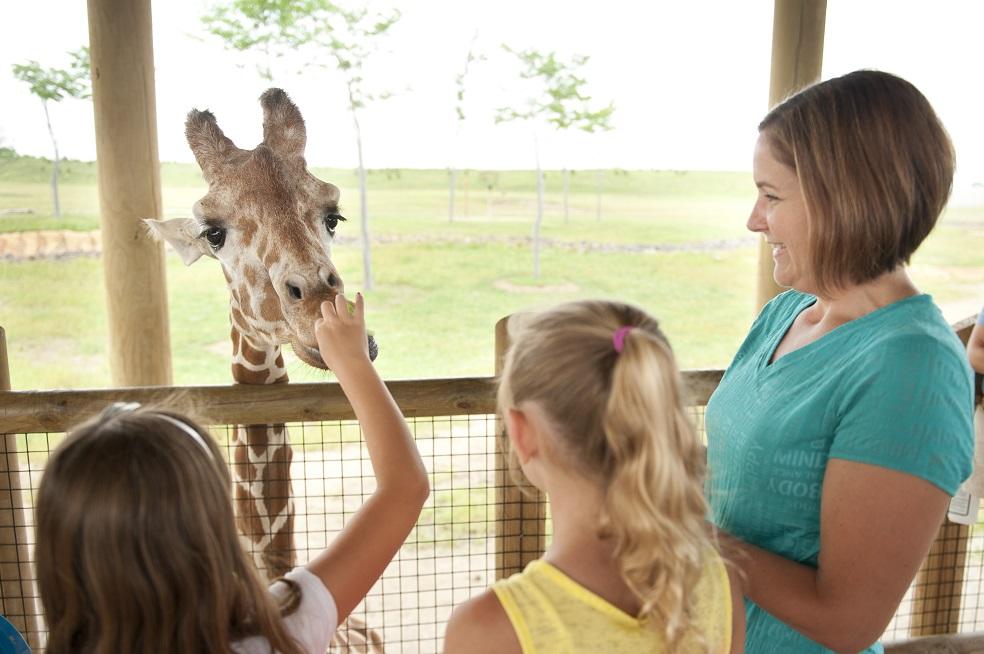 Getaway Packages | Dublin, Ohio | Visit Dublin Ohio