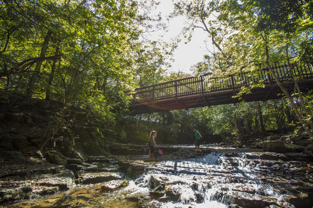 50 Things to do in Dublin this Summer