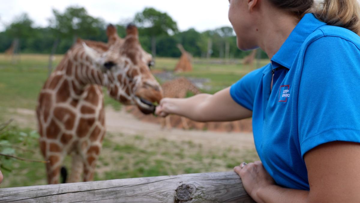 What's New at the Columbus Zoo