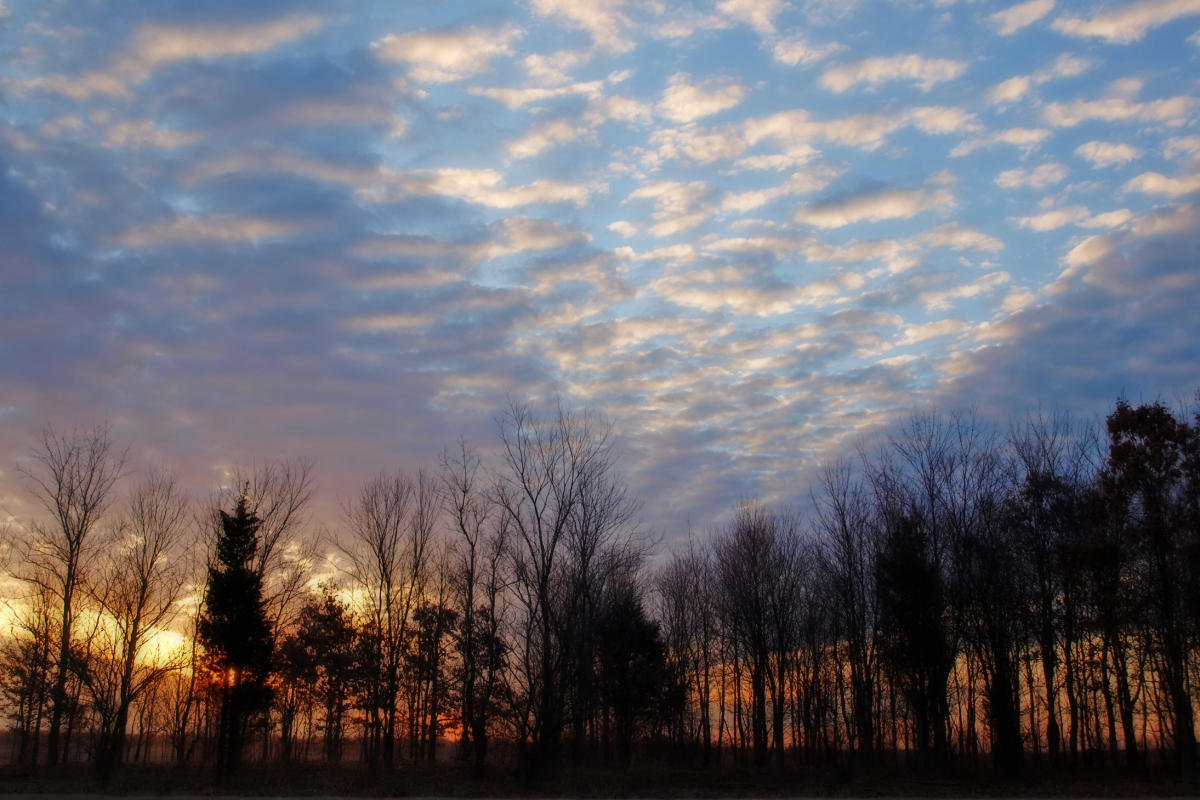 Top Forest Preserves in DuPage County | Discover DuPage