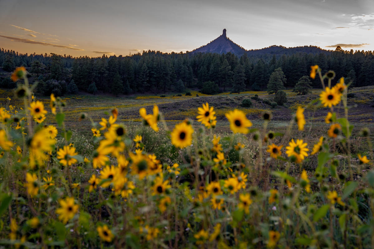 Tracks Across Borders Scenic Byway | Visit Durango, CO | Official ...