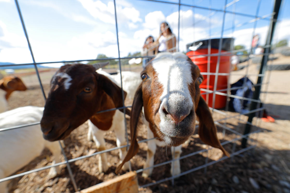 Agritourism and Farms | Visit Durango, CO | Official Tourism Site