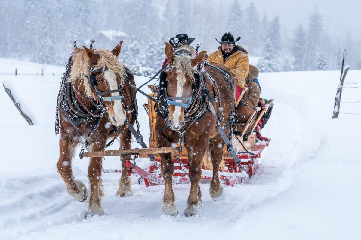 Sleigh Rides | Visit Durango, CO | Official Tourism Site
