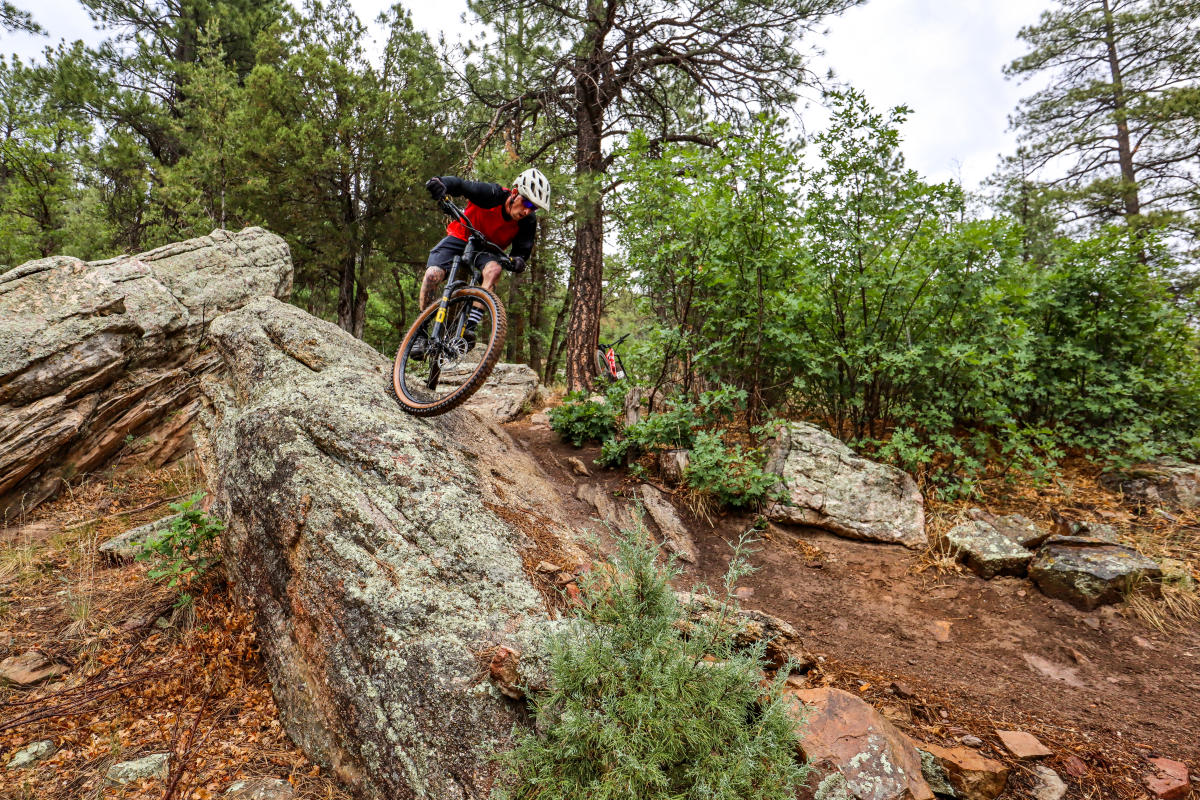 Log Chutes Trail System | Visit Durango, CO | Official Tourism Site